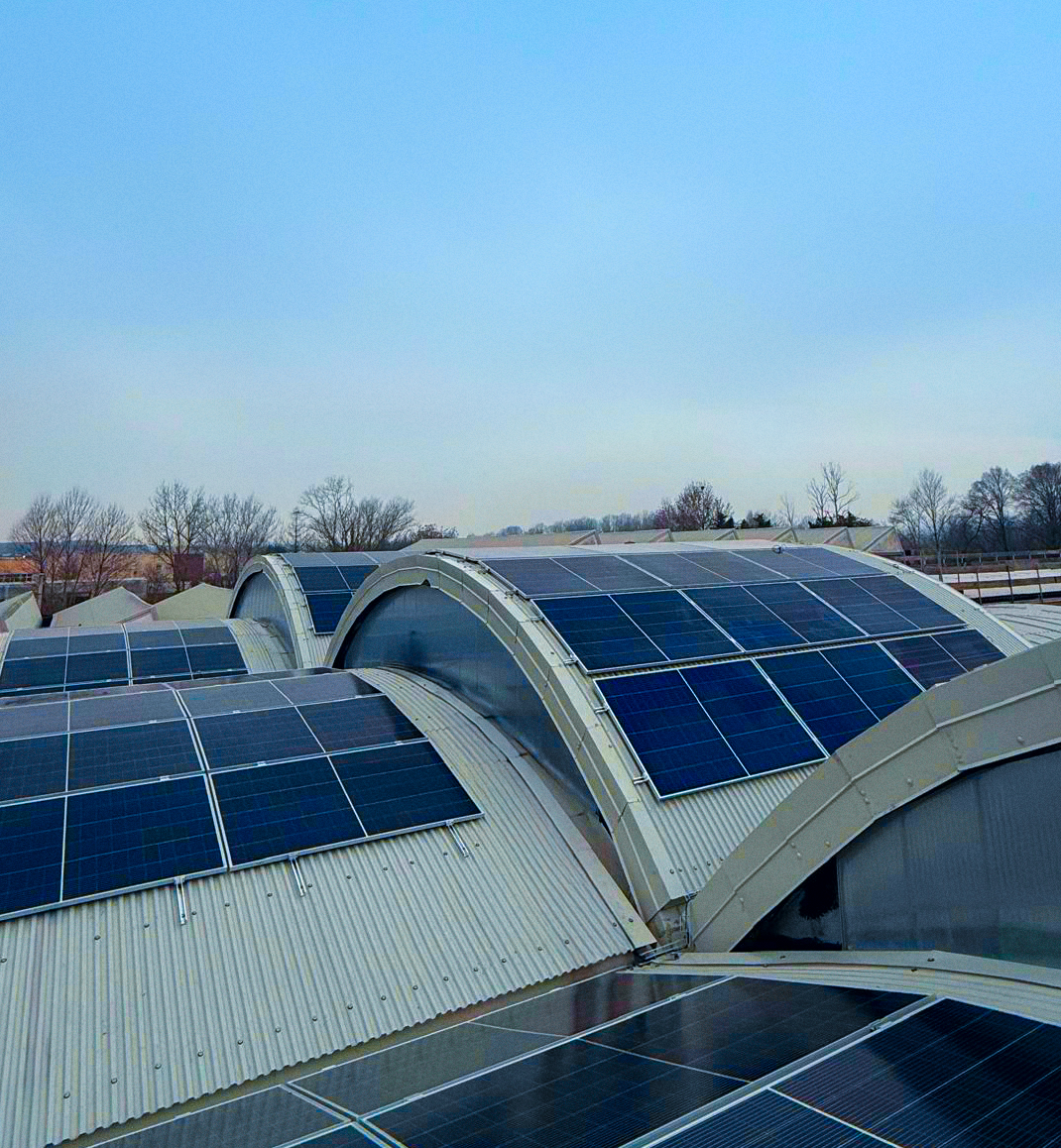 From energy efficiency upgrades to competitiveness: LICAT Srl’s ...